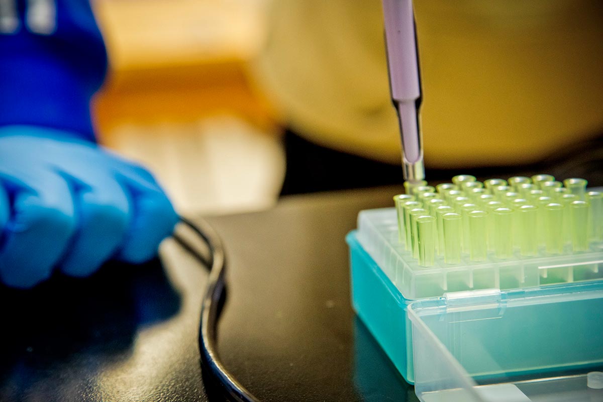 Department of Chemistry & Biochemistry | Georgian Court University ...