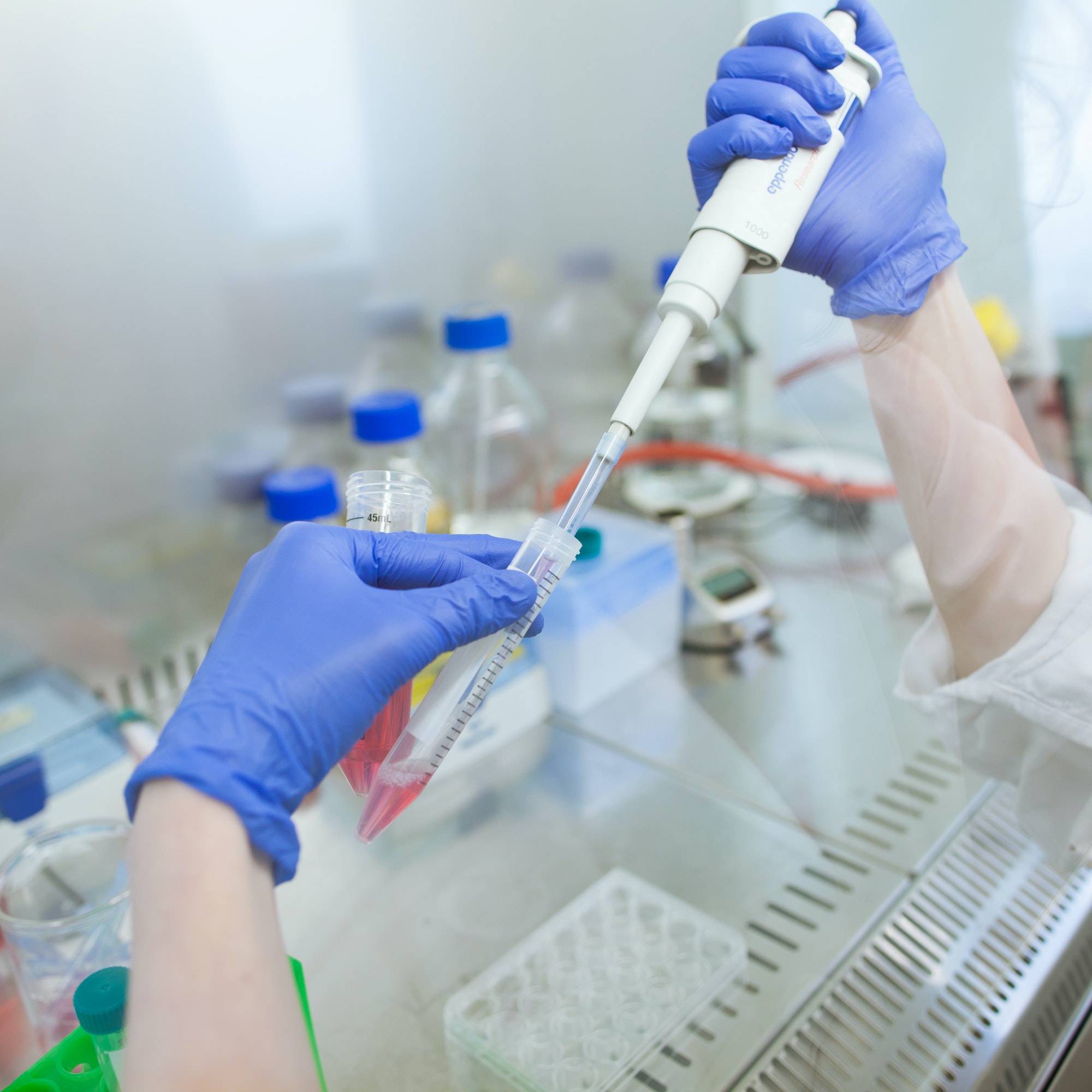 Interdisciplinary Studies | Georgian Court University | Lakewood, New ...